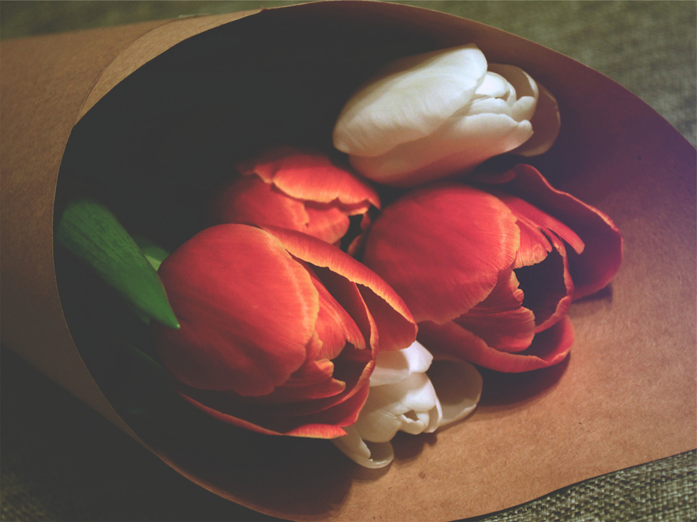 How To Make A Valentine s Day Card In Photoshop
